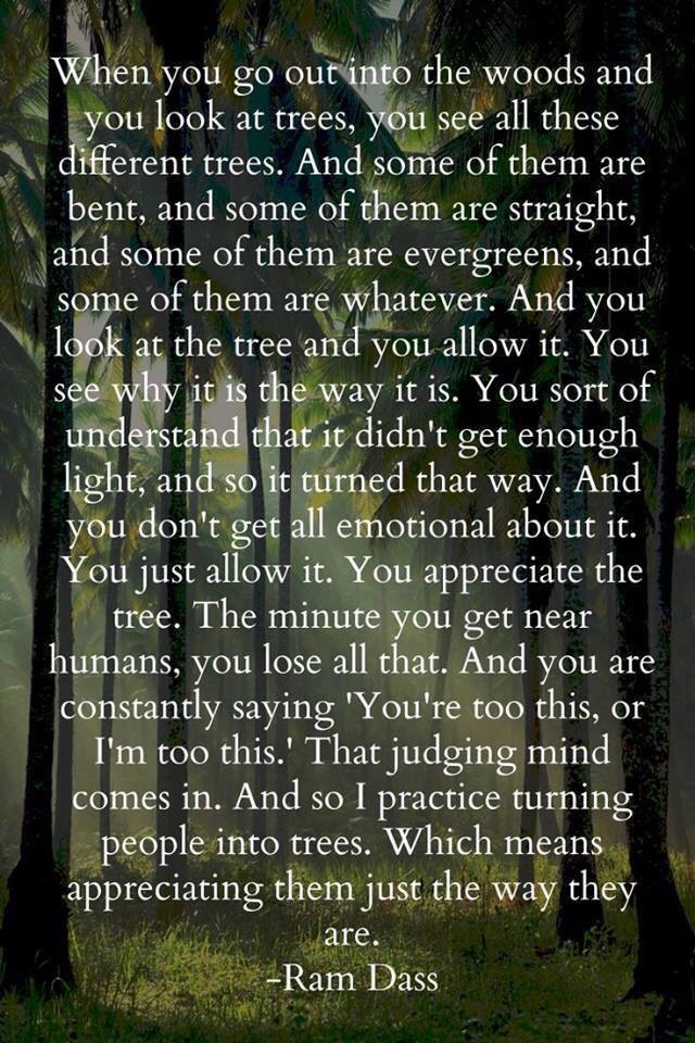 A lesson we can learn from trees – Laura Roettiger Books