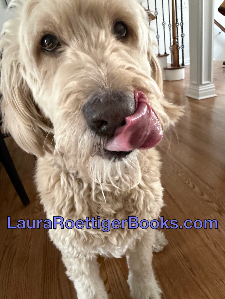 Saturday Haiku 2/14/26 – Laura Roettiger Books